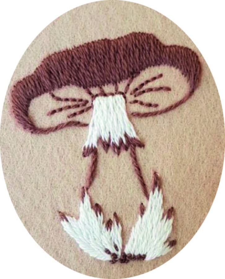 Kit de broderie feutrine : Bollet - Alveocrea